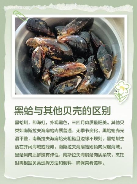 黑蛤蜊和花蛤的区别_哪个更好吃-第2张图片-山城妙识