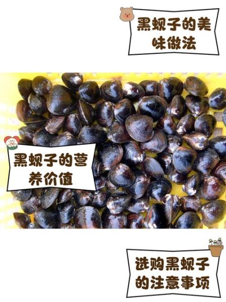 黑蛤蜊和花蛤的区别_哪个更好吃-第1张图片-山城妙识