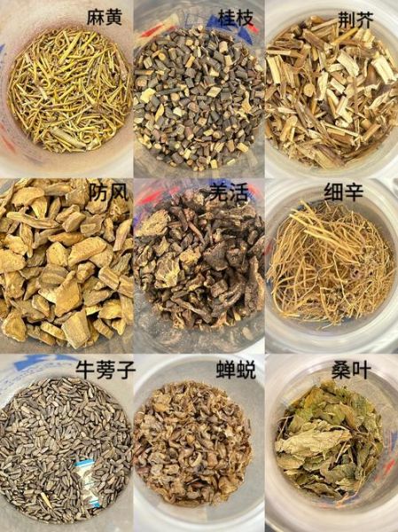 中草药大全图解_如何快速识别常见草药-第2张图片-山城妙识