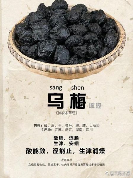 乌梅的功效与作用及适用人群_哪些人不能吃乌梅-第2张图片-山城妙识