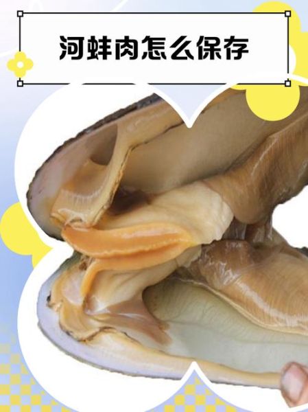 河蚌肉的功效与作用_河蚌肉怎么做好吃-第2张图片-山城妙识