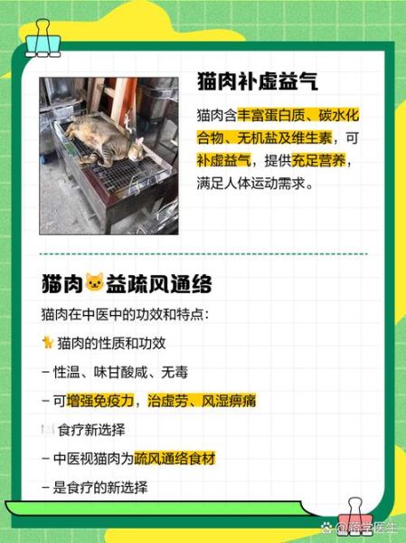 猫肉为什么不能吃_猫肉吃了有什么危害-第3张图片-山城妙识