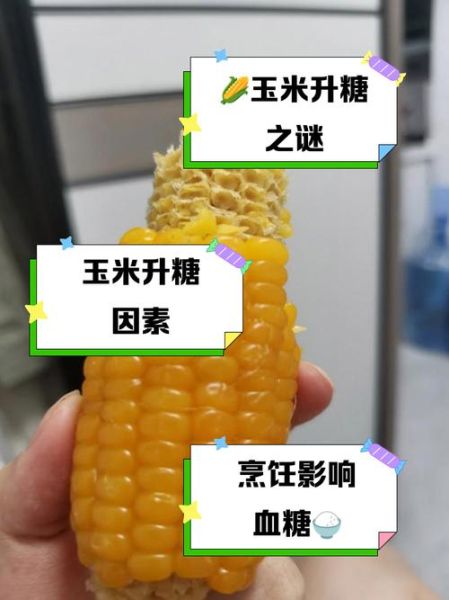 血糖高可以吃玉米吗_玉米升糖指数高吗-第2张图片-山城妙识
