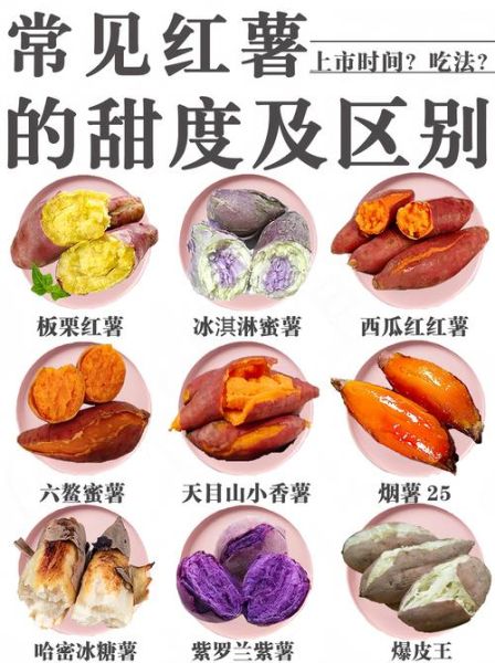 红薯和地瓜一样吗_红薯地瓜的区别-第1张图片-山城妙识