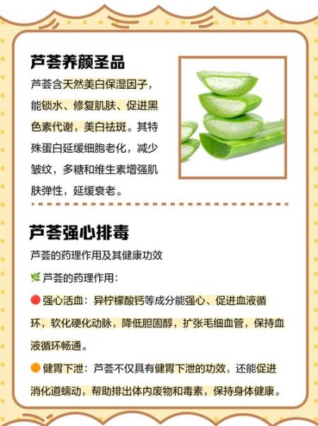 芦荟的功效与作用禁忌_芦荟能天天吃吗-第3张图片-山城妙识