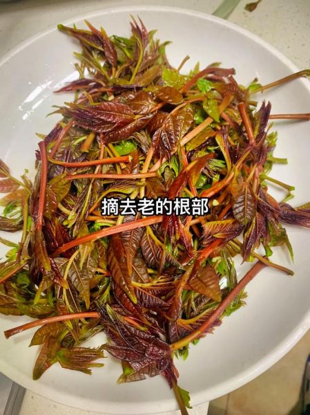 香椿拌豆腐的做法_香椿拌豆腐怎么凉拌好吃-第2张图片-山城妙识