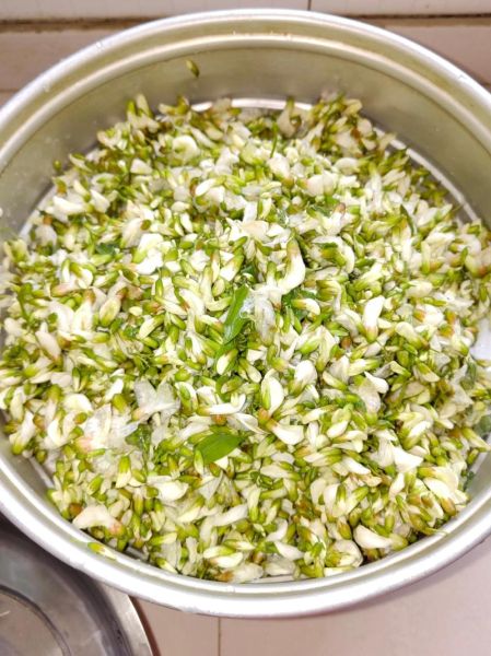 槐花怎么蒸着吃好吃_槐花蒸多久才软糯-第1张图片-山城妙识