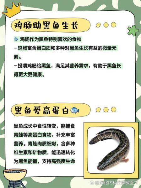 黑鱼吃什么食物为主_黑鱼最爱吃什么-第1张图片-山城妙识