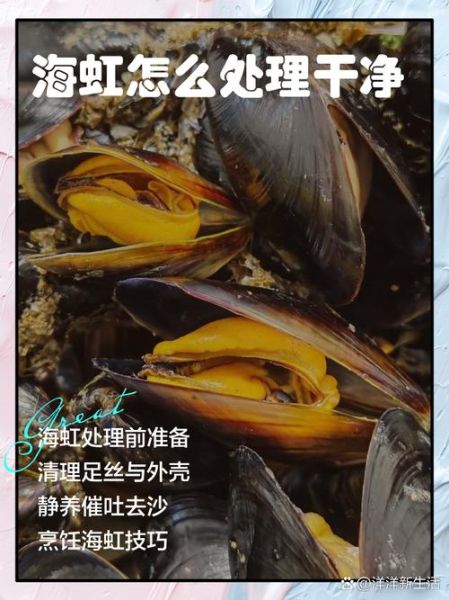 海虹内脏怎么清洗_海虹清洗内脏的方法-第3张图片-山城妙识