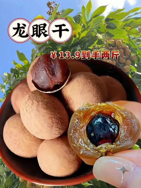 龙眼肉怎样晒干_龙眼肉晒干的做法-第2张图片-山城妙识