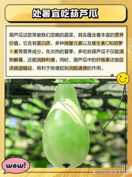 处暑吃什么蔬菜_处暑养生蔬菜推荐-第2张图片-山城妙识