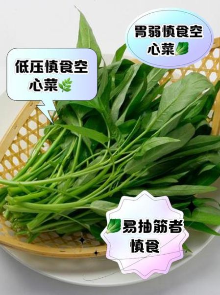 空心菜什么人不能吃_空心菜禁忌人群有哪些-第2张图片-山城妙识