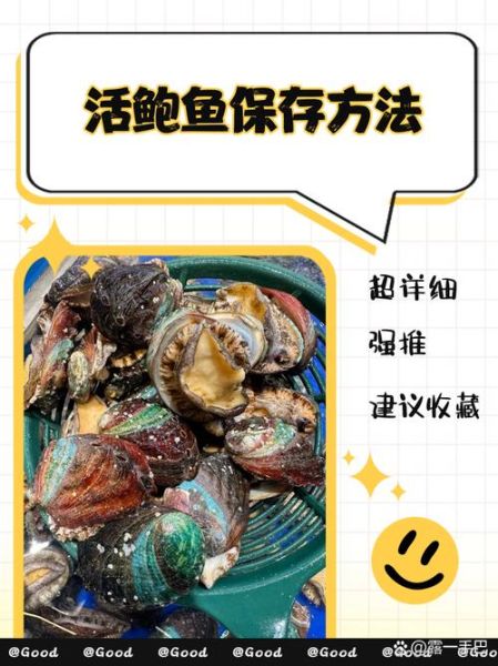 活鲍鱼怎么处理_活鲍鱼怎么清洗-第2张图片-山城妙识