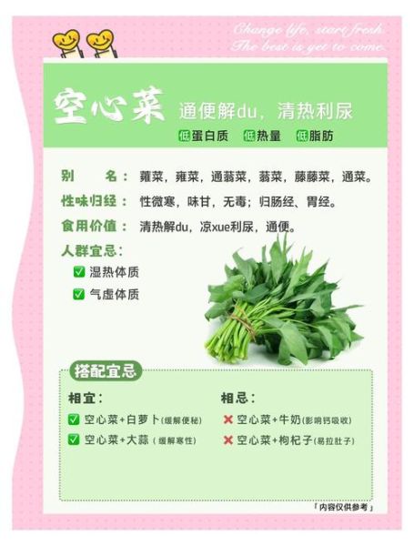 空心菜什么人不能吃_空心菜禁忌人群有哪些-第1张图片-山城妙识