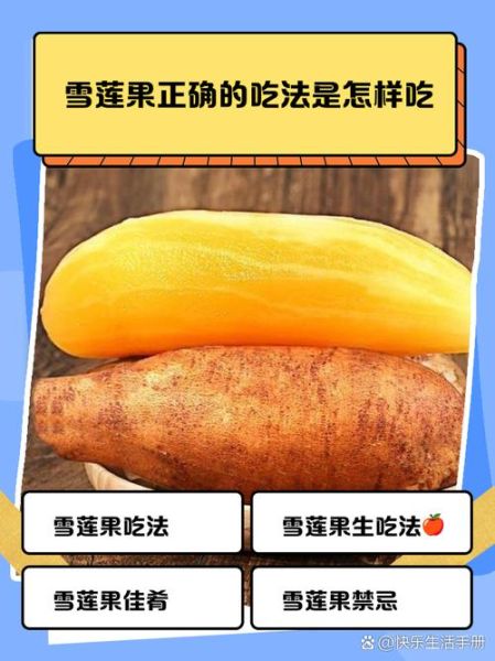 雪莲果怎么吃减肥_雪莲果减肥的正确吃法-第1张图片-山城妙识