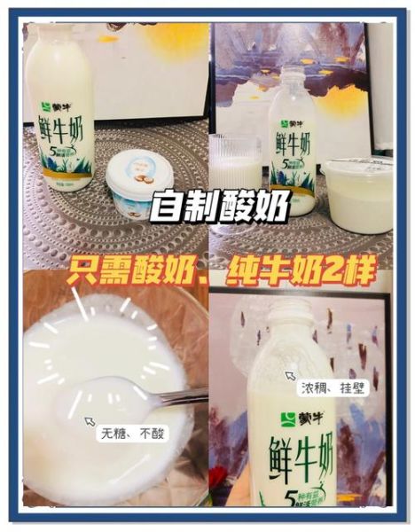 酸奶的制作过程_自制酸奶需要哪些材料-第3张图片-山城妙识