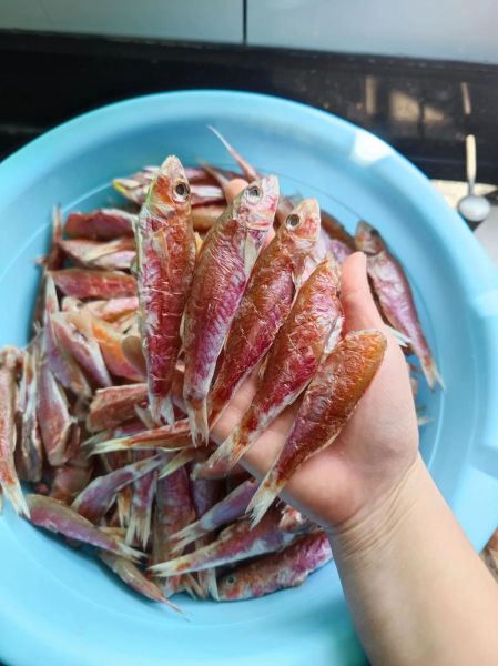 生晒鱼干怎么做_鱼干晒制技巧-第2张图片-山城妙识