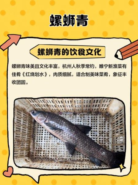 螺蛳青鱼吃什么食物_螺蛳青鱼饵料配方-第2张图片-山城妙识