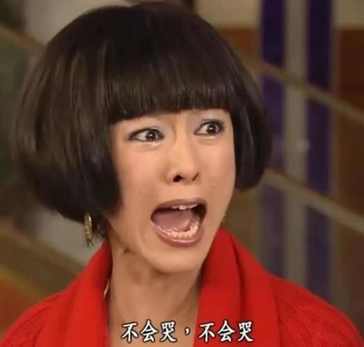 红姨是什么电视剧里的_红姨角色背景解析-第3张图片-山城妙识 红姨是什么电视剧里的_红姨角色背景解析-第3张图片-山城妙识