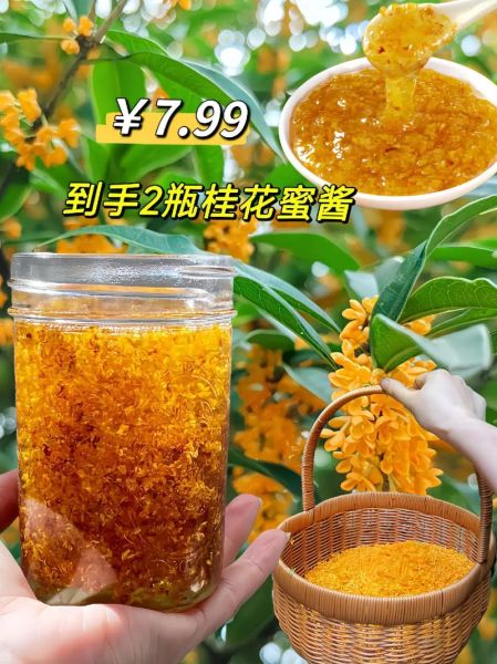 新鲜桂花可以做什么_新鲜桂花怎么吃-第1张图片-山城妙识