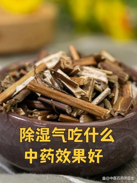 祛湿中药有哪些_湿气重吃什么中药最快-第1张图片-山城妙识