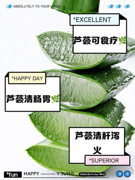 芦荟可以怎么吃_芦荟的家常做法大全-第2张图片-山城妙识