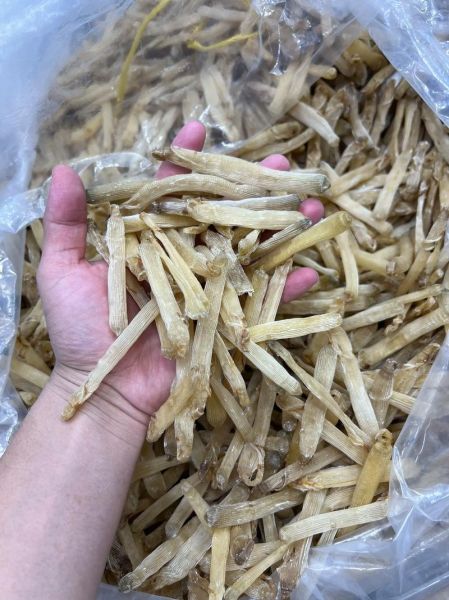 夏季煲汤清火的药材有哪些_哪些药材煲汤最降火-第2张图片-山城妙识