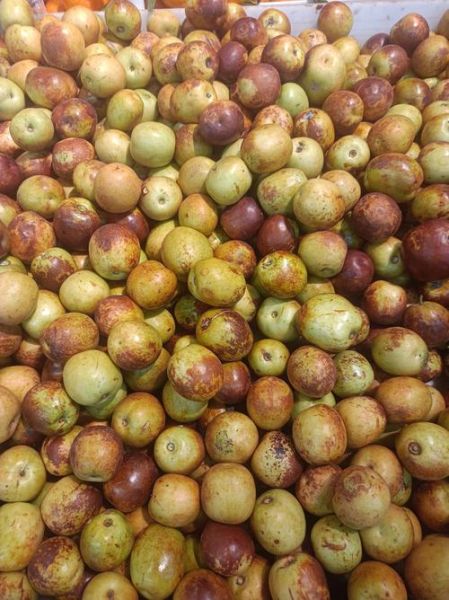 冬枣价格是多少钱一斤_冬枣多少钱一斤2024最新行情-第1张图片-山城妙识