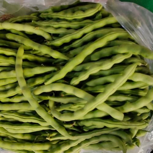 芸豆长什么样_芸豆和四季豆的区别-第3张图片-山城妙识