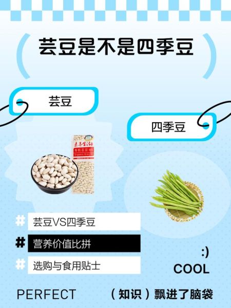 芸豆长什么样_芸豆和四季豆的区别-第2张图片-山城妙识