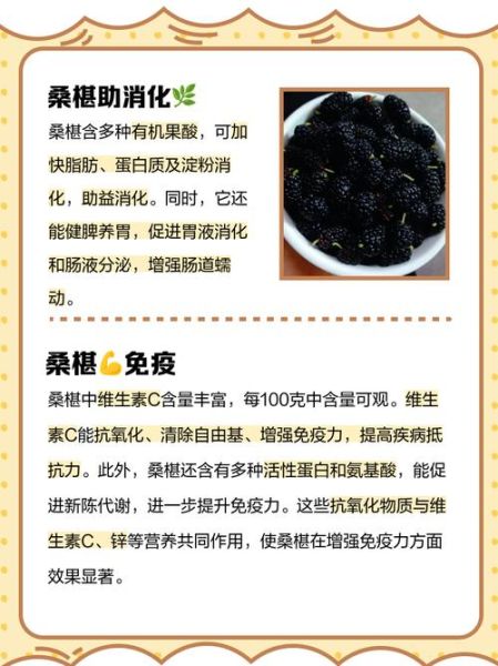 桑椹的功效与作用_桑椹的副作用有哪些-第2张图片-山城妙识