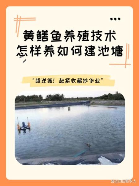 鳝鱼养殖技术_鳝鱼养殖管理要点-第1张图片-山城妙识