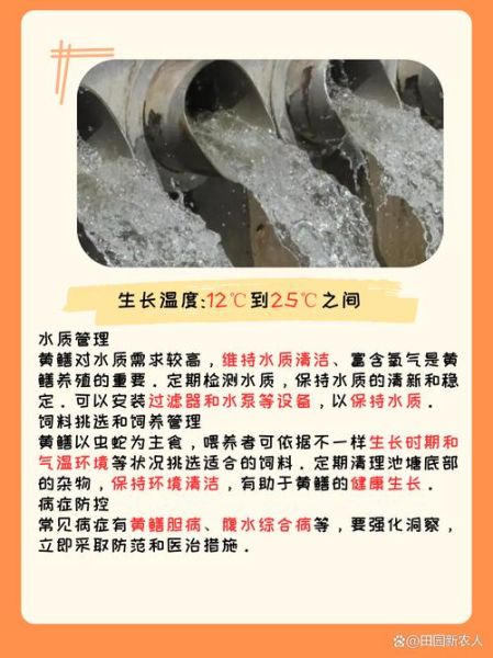 鳝鱼养殖技术_鳝鱼养殖管理要点-第2张图片-山城妙识