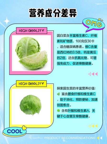 圆白菜和包菜的区别_圆白菜和包菜哪个更好吃-第2张图片-山城妙识