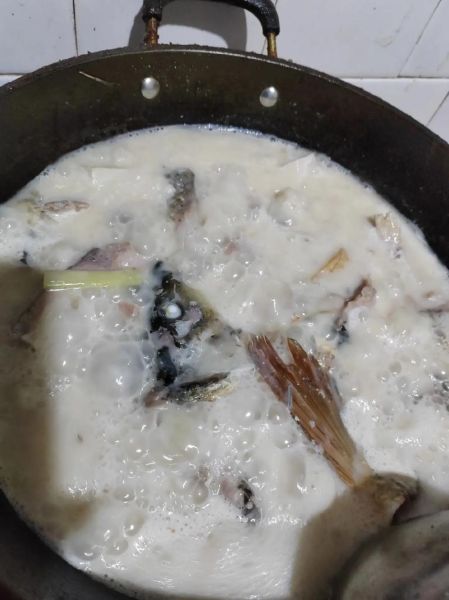 鲤鱼怎么炖不腥_家常炖鱼做法-第1张图片-山城妙识