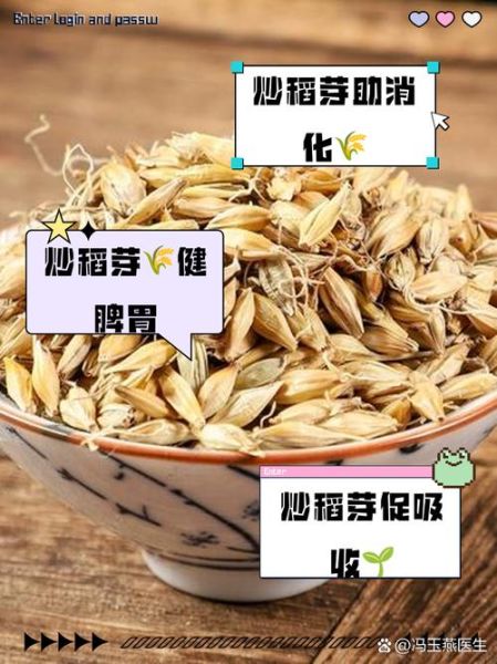 炒谷芽的功效与作用_炒谷芽怎么吃最好-第1张图片-山城妙识