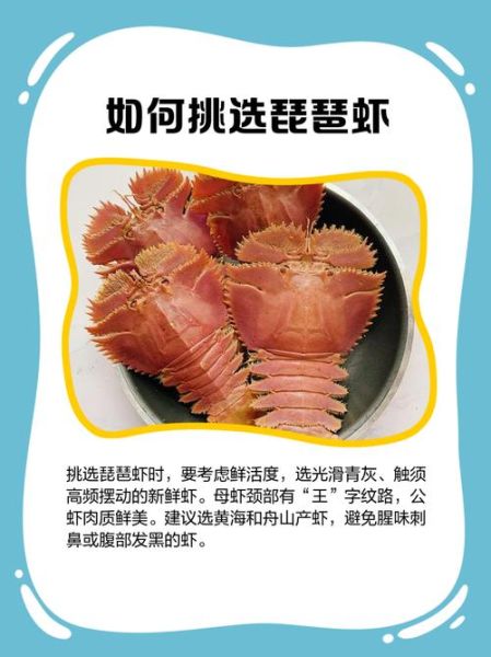 琵琶虾活体怎么保存_琵琶虾活体价格多少钱一斤-第3张图片-山城妙识 琵琶虾活体怎么保存_琵琶虾活体价格多少钱一斤-第3张图片-山城妙识