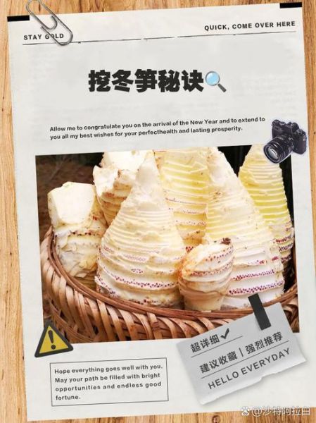 挖冬笋技巧_冬笋怎么找最快-第2张图片-山城妙识