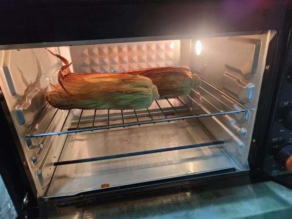 电烤箱烤肉怎么烤_电烤箱烤肉用多少度-第2张图片-山城妙识