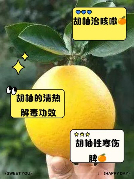 长期吃柚子的功效与作用_长期吃柚子会上火吗-第3张图片-山城妙识 长期吃柚子的功效与作用_长期吃柚子会上火吗-第3张图片-山城妙识