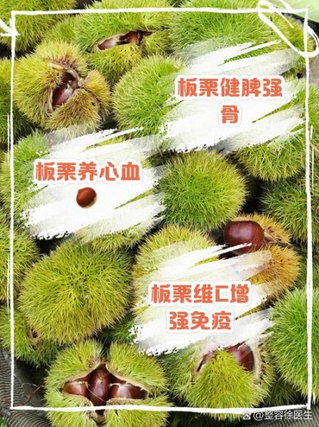 板栗的功效与作用禁忌_板栗不能和什么一起吃-第3张图片-山城妙识 板栗的功效与作用禁忌_板栗不能和什么一起吃-第3张图片-山城妙识