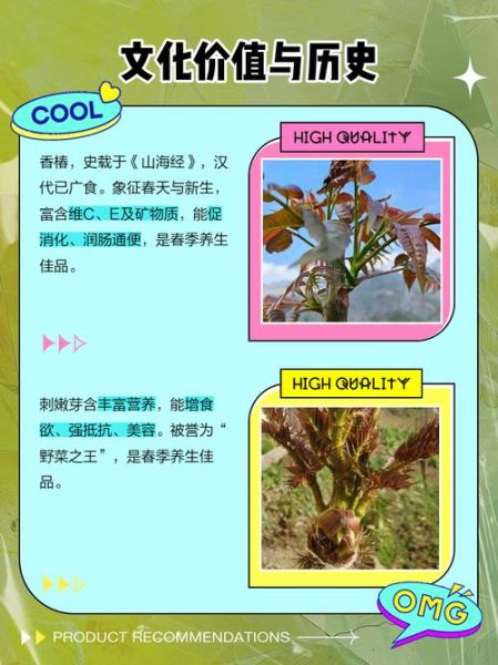 刺嫩芽图片怎么识别_刺嫩芽和香椿区别-第3张图片-山城妙识