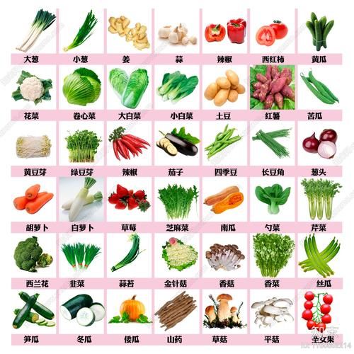 蔬菜名字大全_蔬菜种类有哪些-第3张图片-山城妙识
