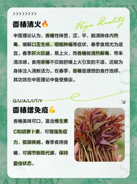 香椿的营养价值_香椿的功效与作用-第3张图片-山城妙识