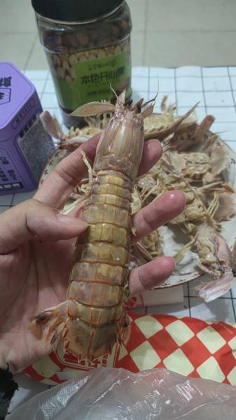 皮皮虾什么时候最肥_皮皮虾几月份最好吃-第1张图片-山城妙识