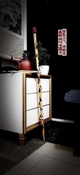 牛筋木是什么木材_牛筋木价格多少钱一方-第1张图片-山城妙识