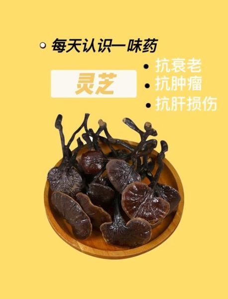 灵芝能提高性功能吗_灵芝对男性性功能真的有效吗-第2张图片-山城妙识