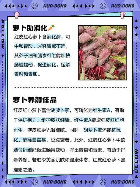 红皮萝卜的营养价值_红皮萝卜怎么吃最营养-第1张图片-山城妙识
