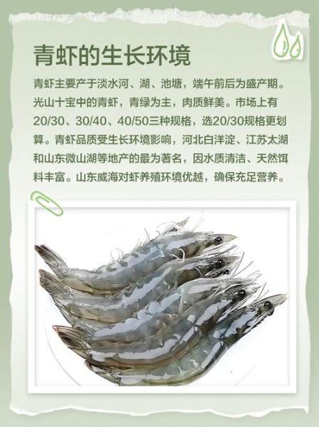 青虾图片高清_青虾怎么挑选最新鲜-第1张图片-山城妙识