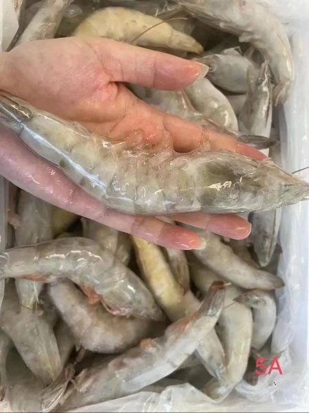 青虾图片高清_青虾怎么挑选最新鲜-第2张图片-山城妙识